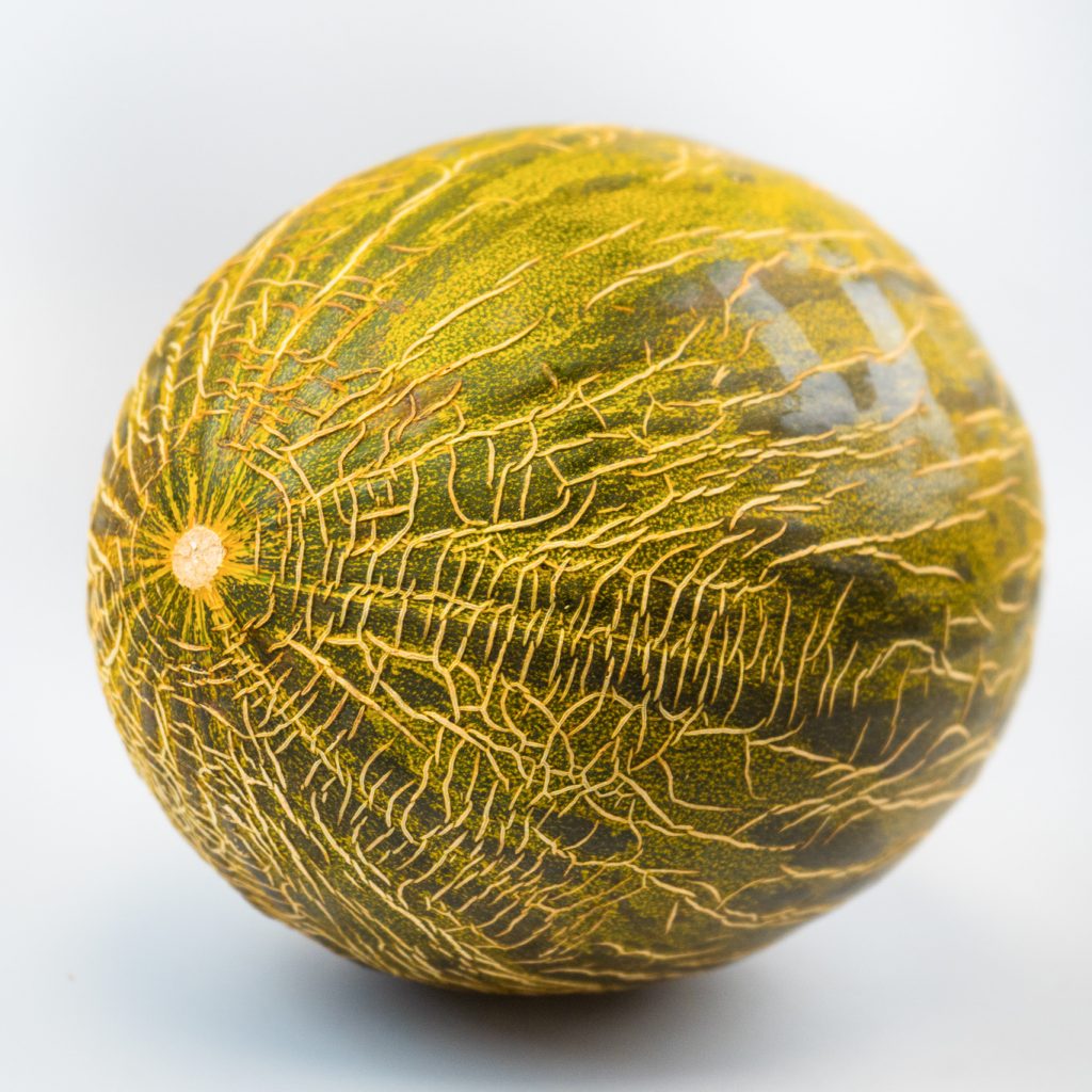 Melón Bollo - Camarasa fruits